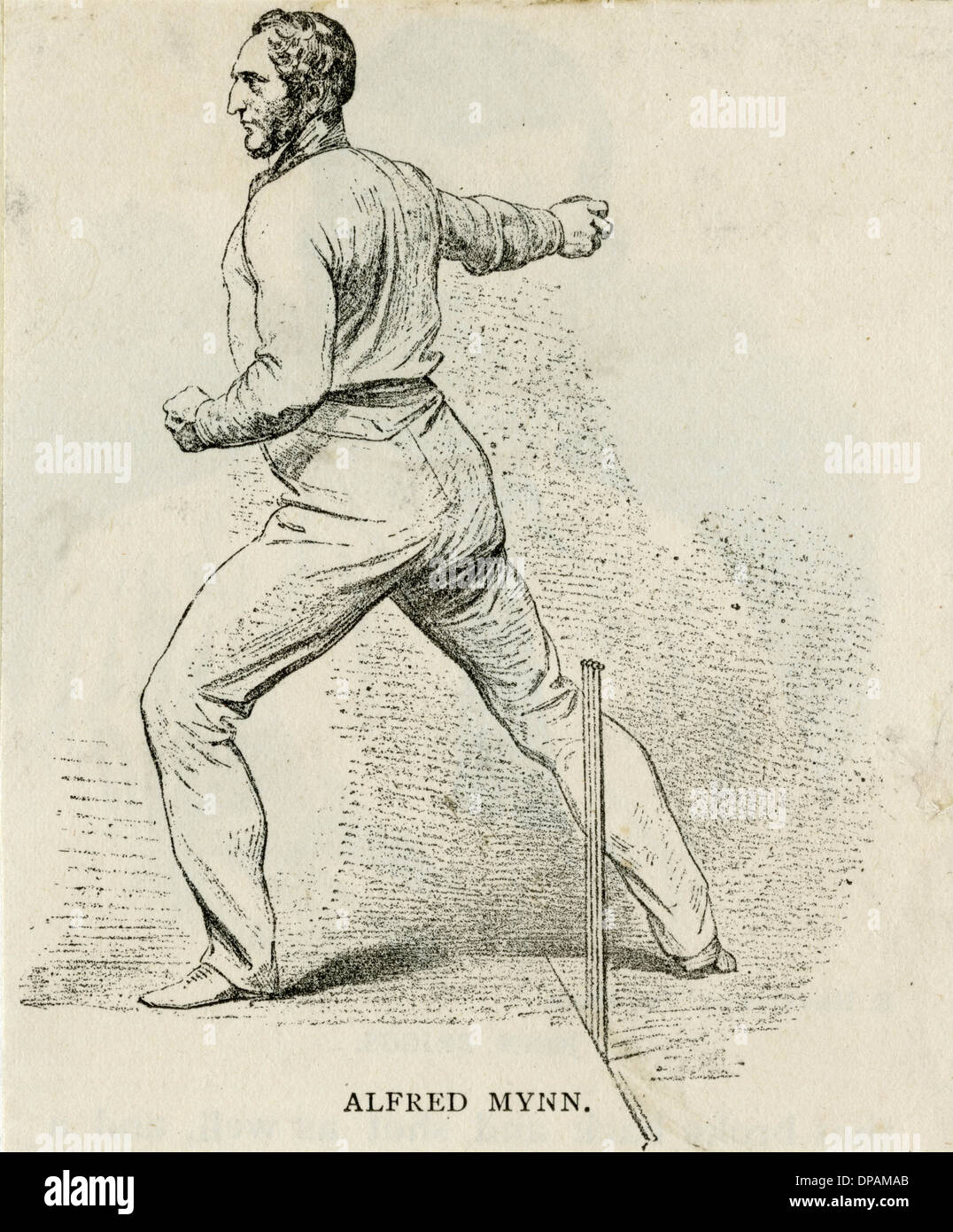 Mynn High Resolution Stock Photography and Images - Alamy