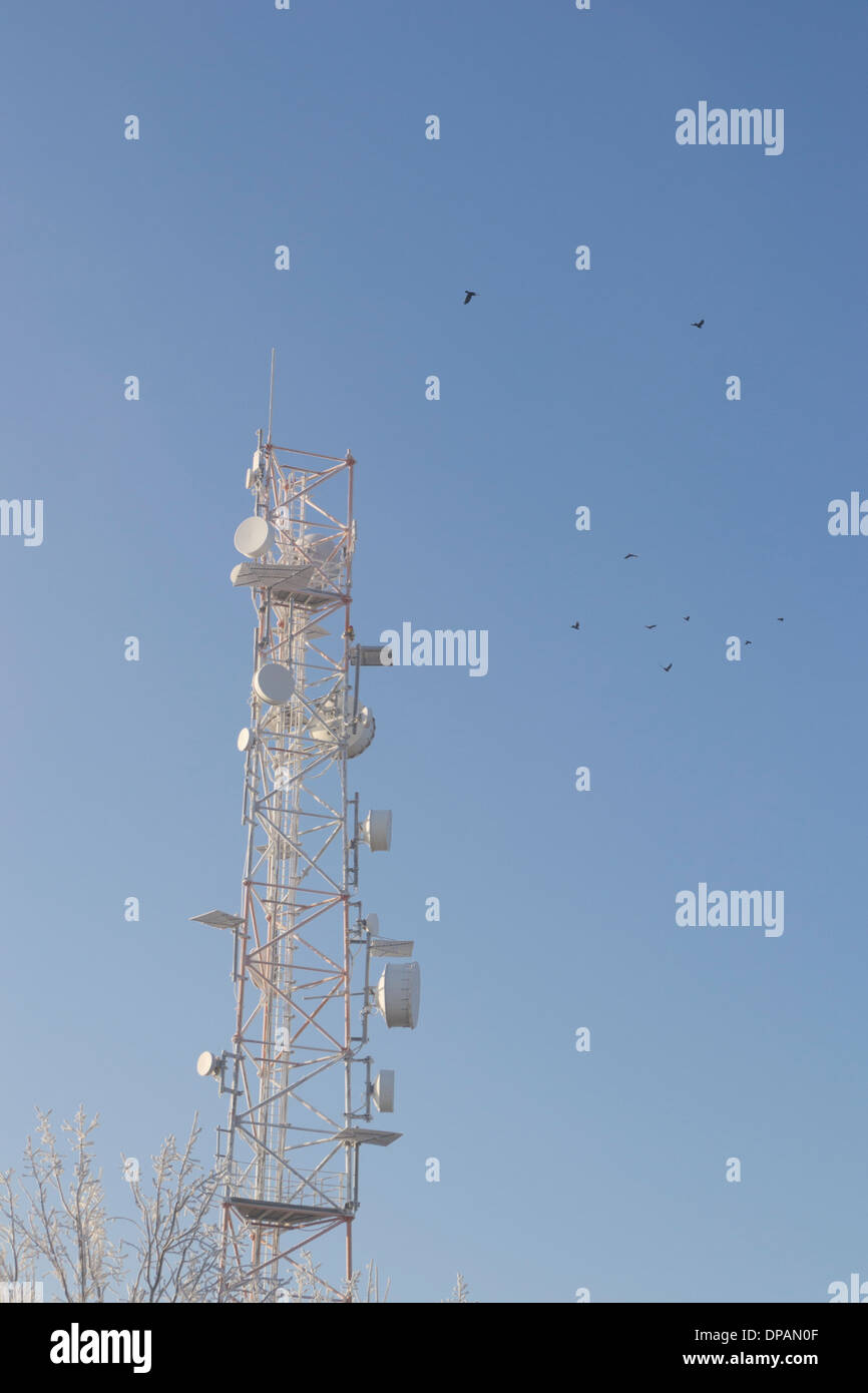 Frosty radio tower on a winter morning Stock Photo - Alamy
