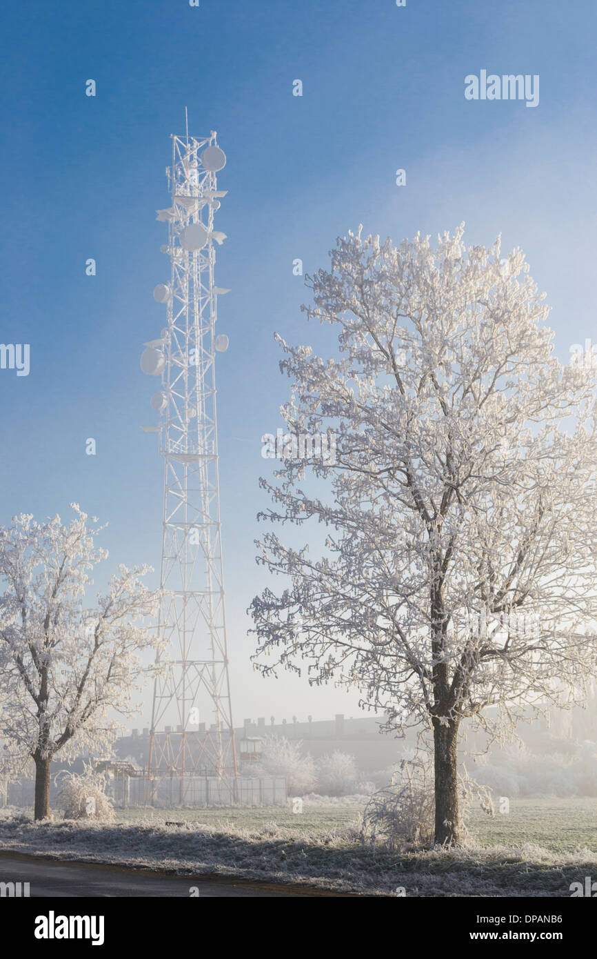 Frosty radio tower on a winter morning Stock Photo - Alamy