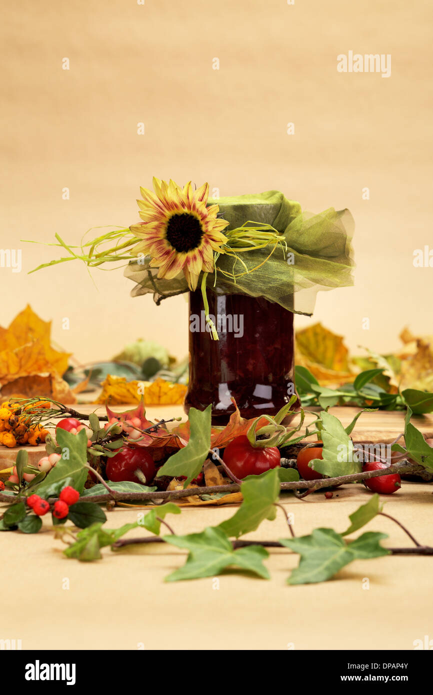 Autumn composition of fallen leafs, ivy, hawthorn, rowan etc. on a ...