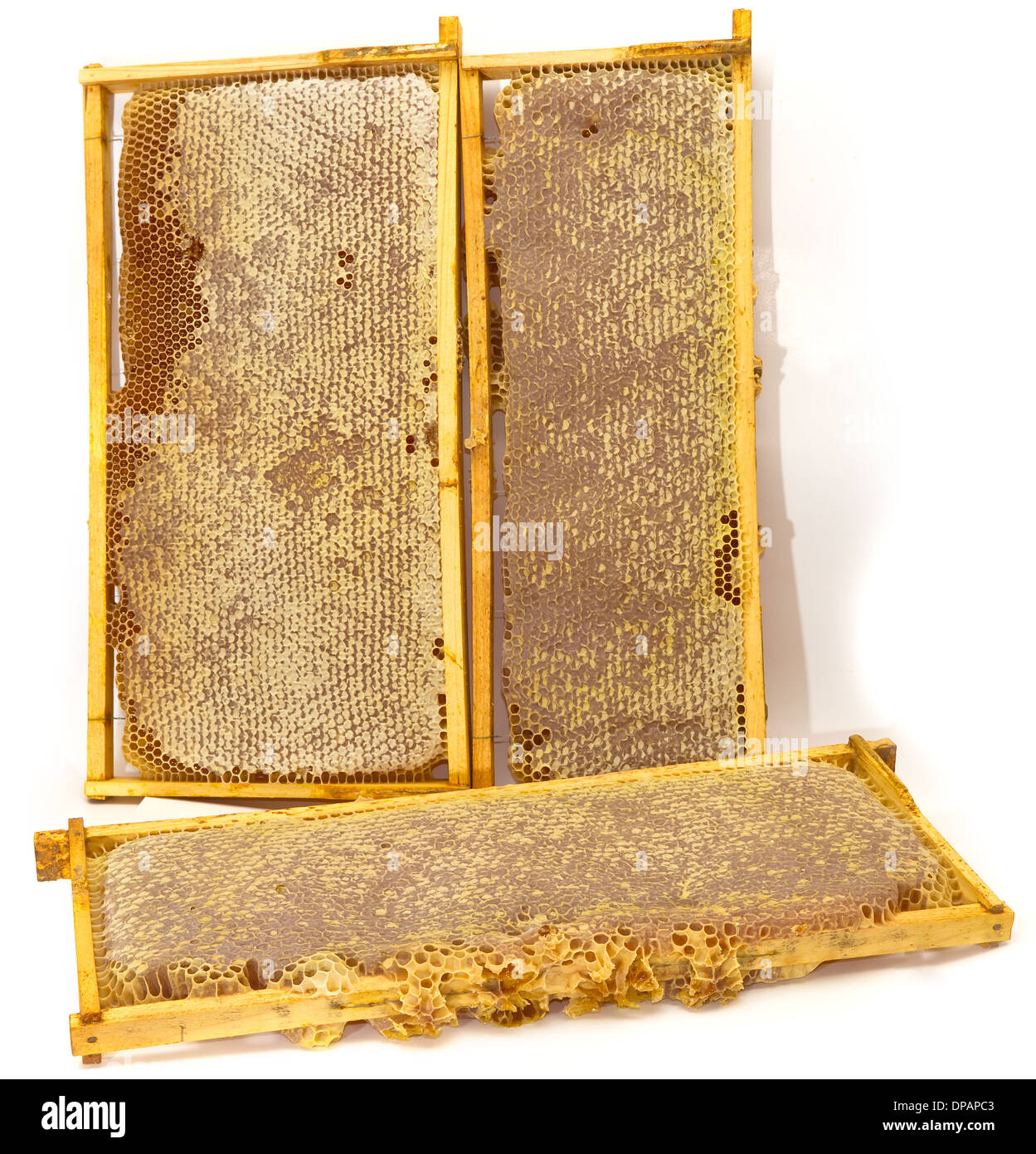 Frame with honey bees Cut Out Stock Images & Pictures - Alamy