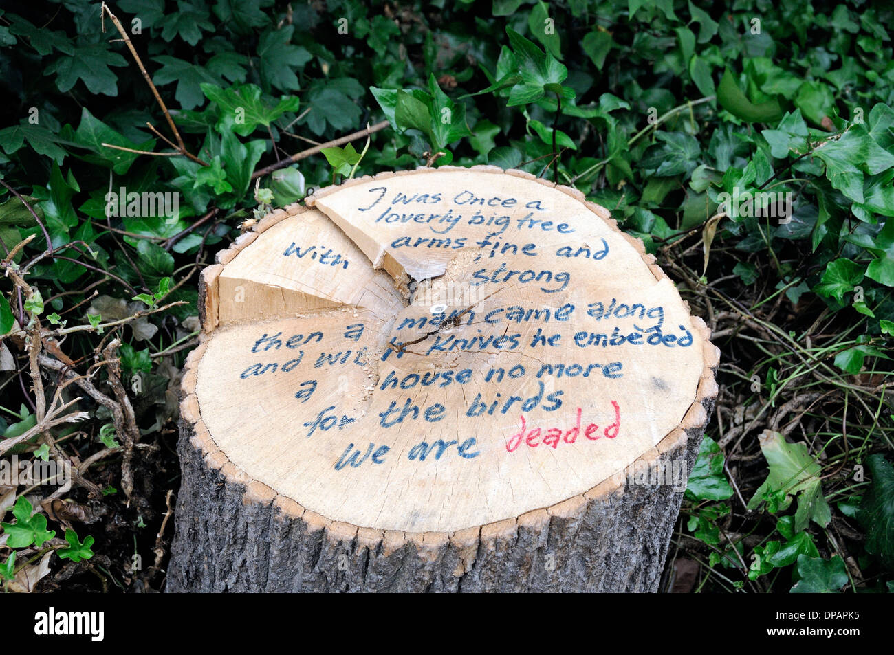 Tree stump with protest writing on regretting the loss of a native ...