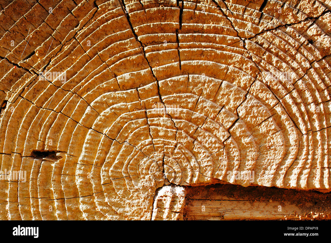 Natural details of sun dried wood of a 100 years old barn Stock Photo ...
