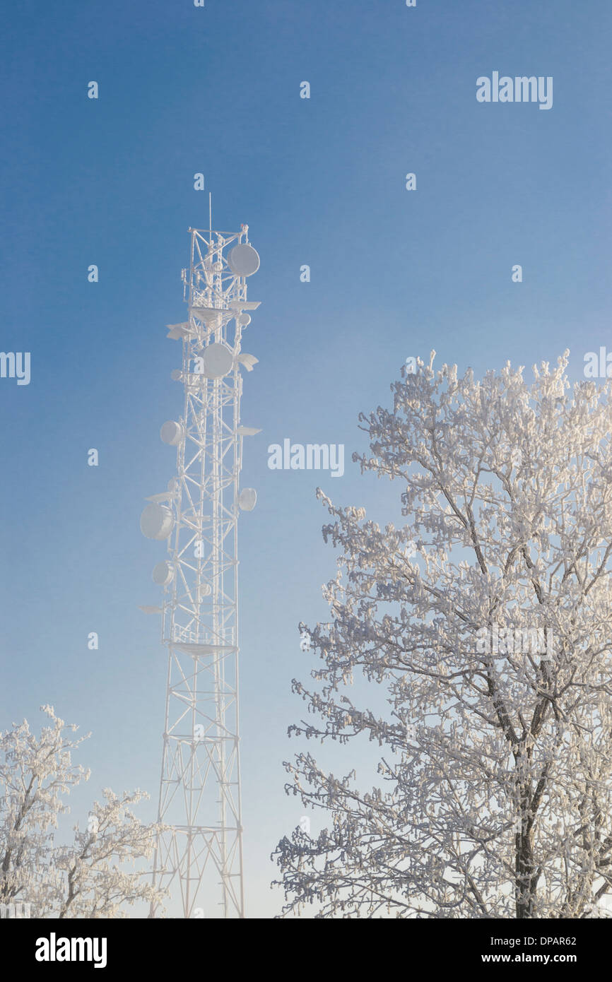 Frosty radio tower on a winter morning Stock Photo - Alamy