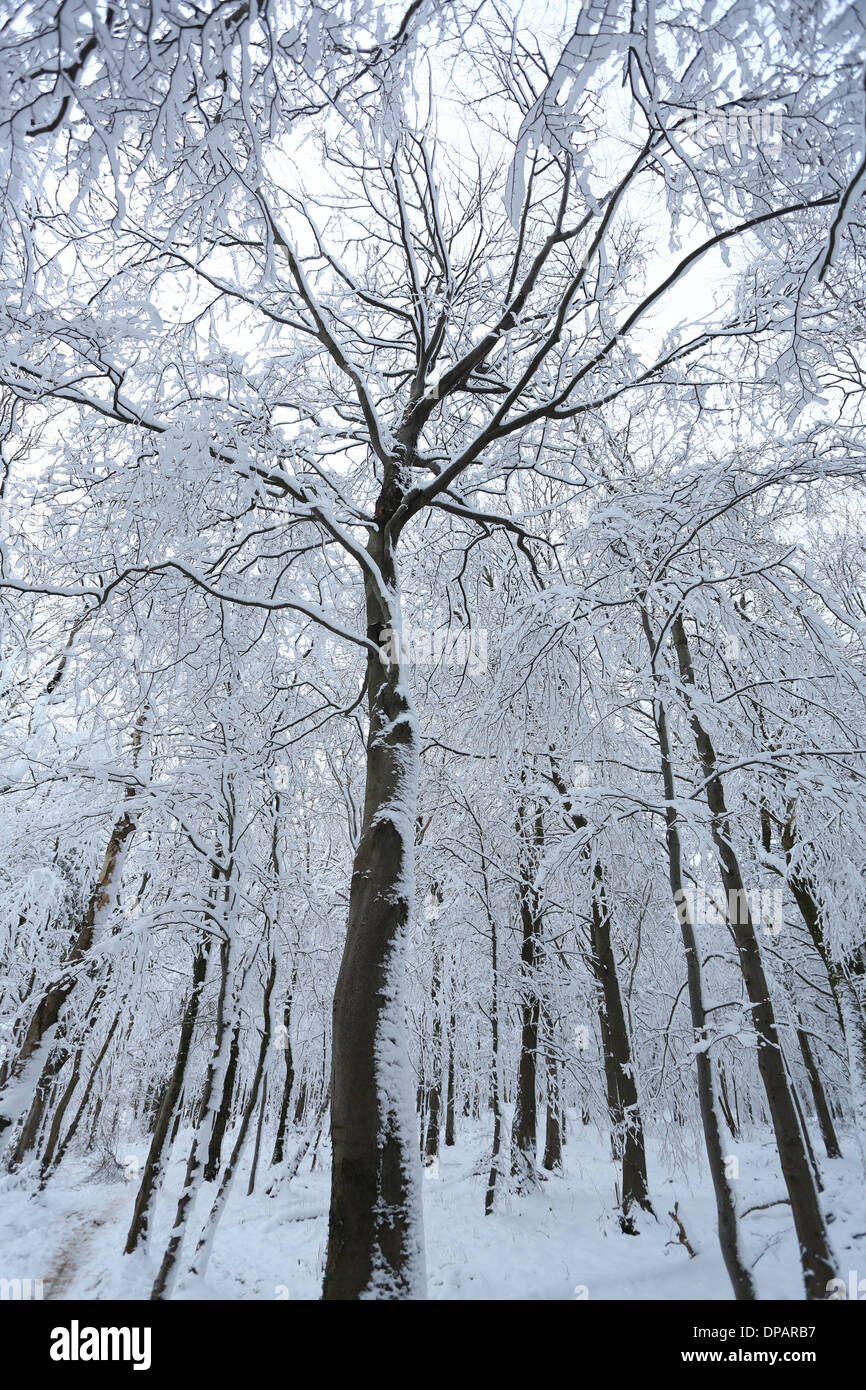 Castell coch winter hi-res stock photography and images - Alamy