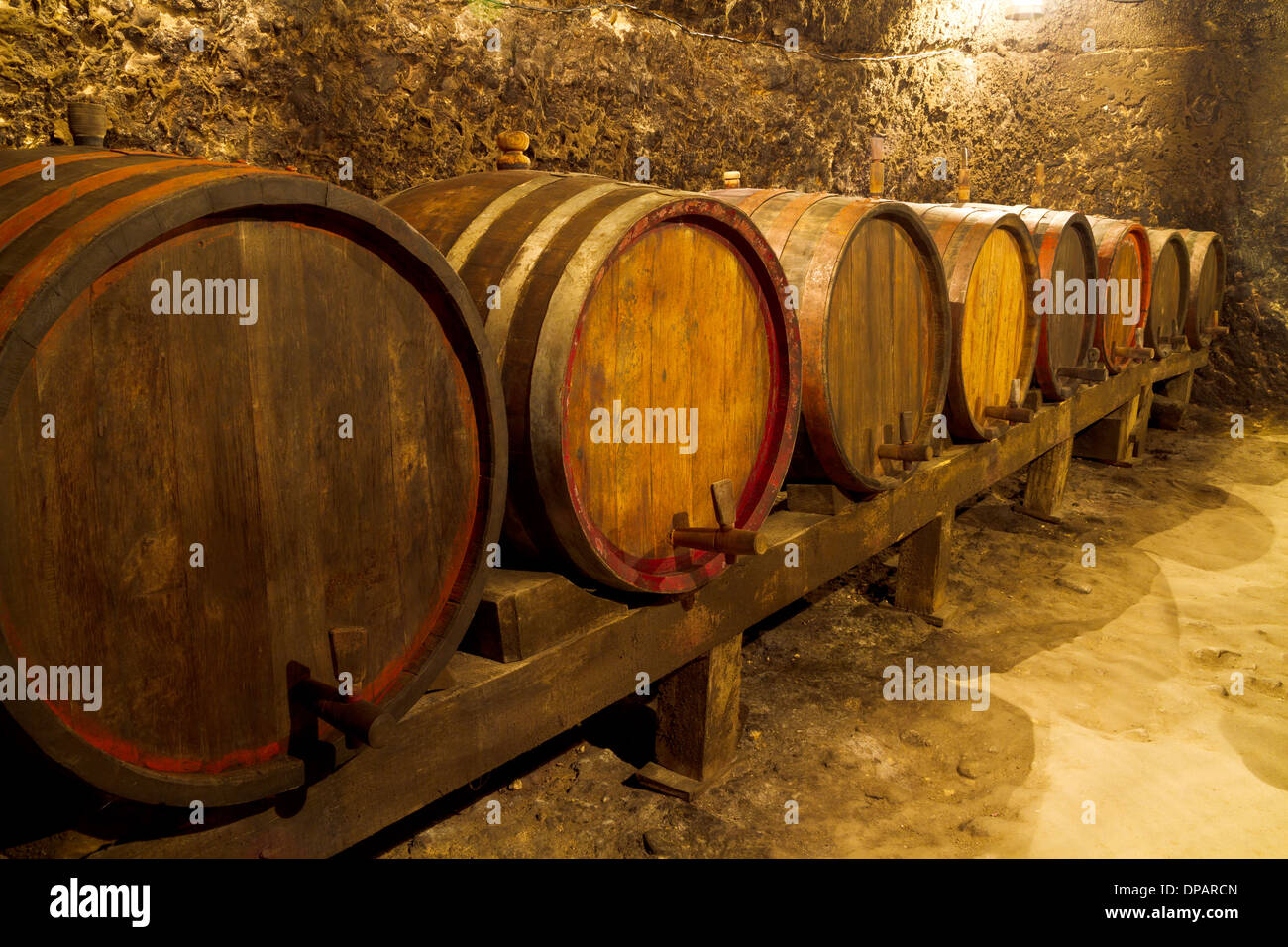 An old wine cellar with oak barrels Stock Photo - Alamy