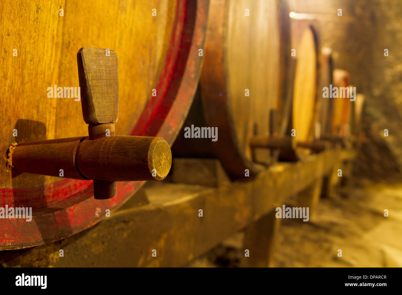 An old wine cellar with oak barrels Stock Photo - Alamy