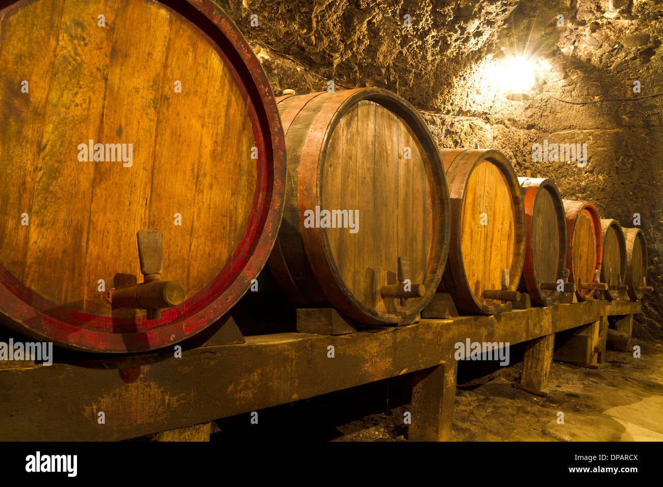 An old wine cellar with oak barrels Stock Photo - Alamy