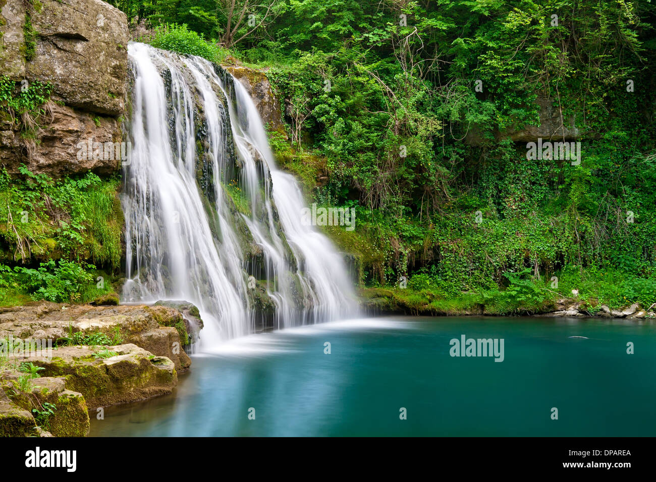 Waterfall in nature with clear water and green plants Stock Photo - Alamy