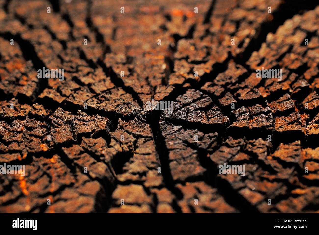 Natural details of sun dried wood of a 100 years old barn Stock Photo ...