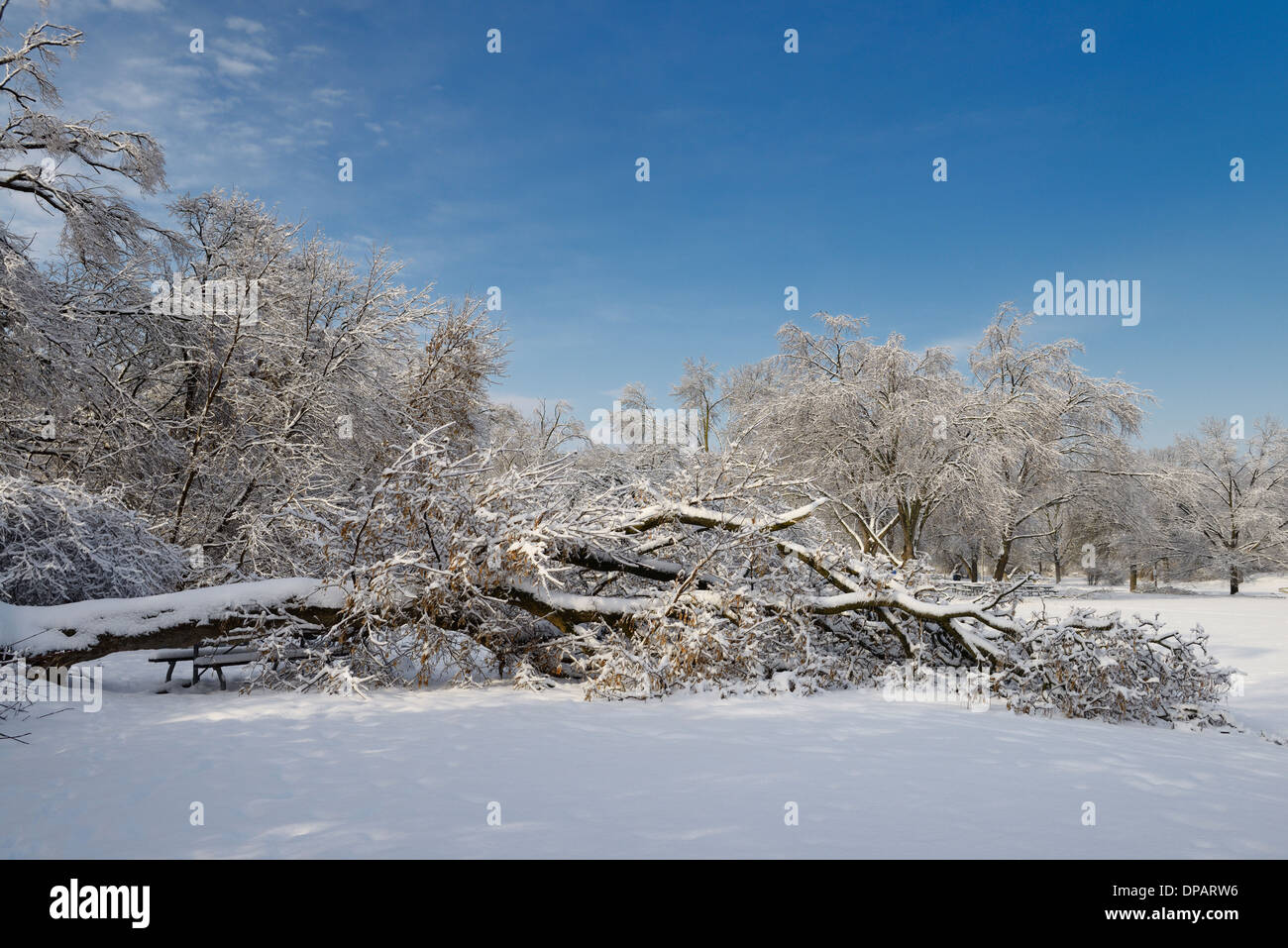 Picnic rain hi-res stock photography and images - Alamy