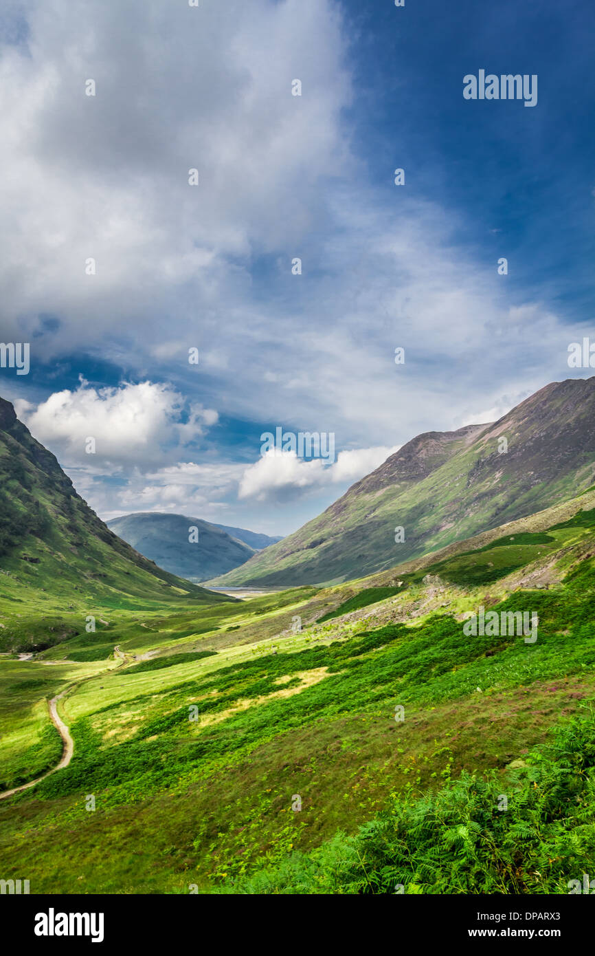 Footpath in in the Scotland highlands Stock Photo - Alamy