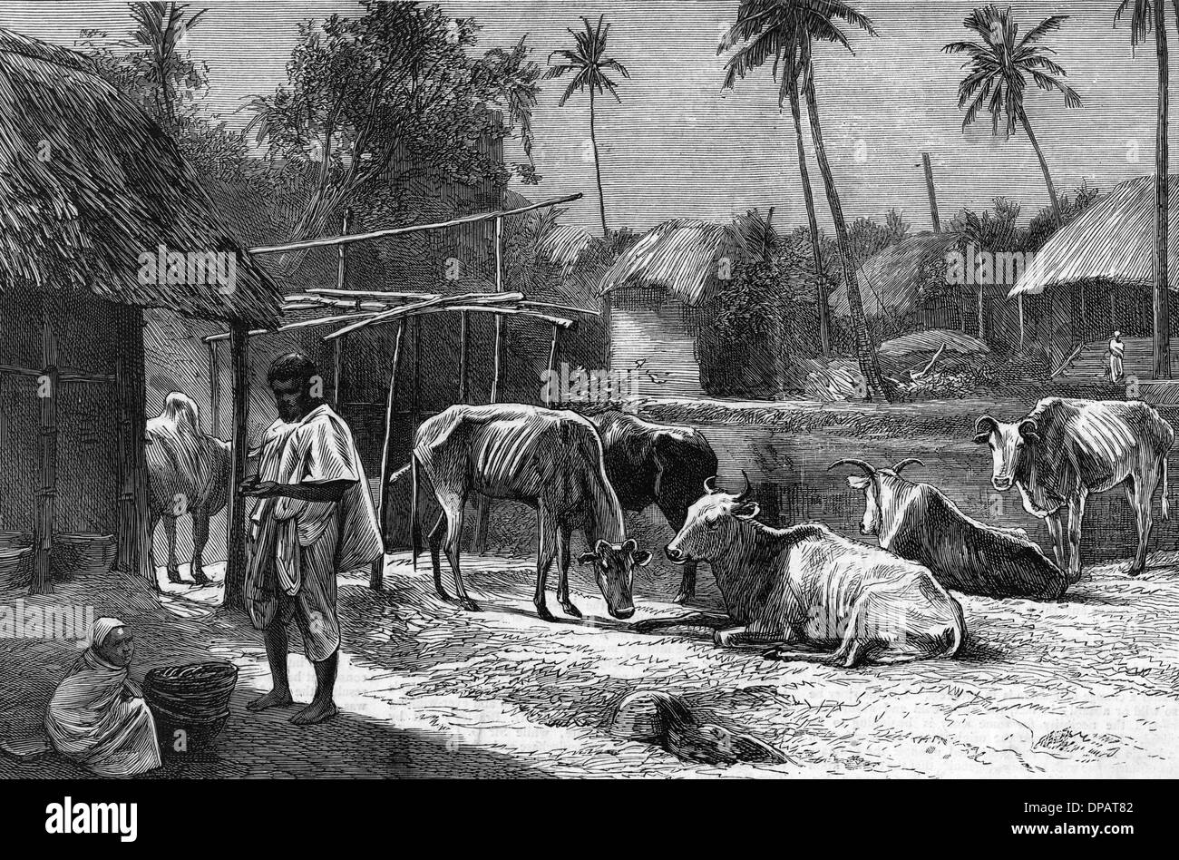 Famine hi-res stock photography and images - Alamy