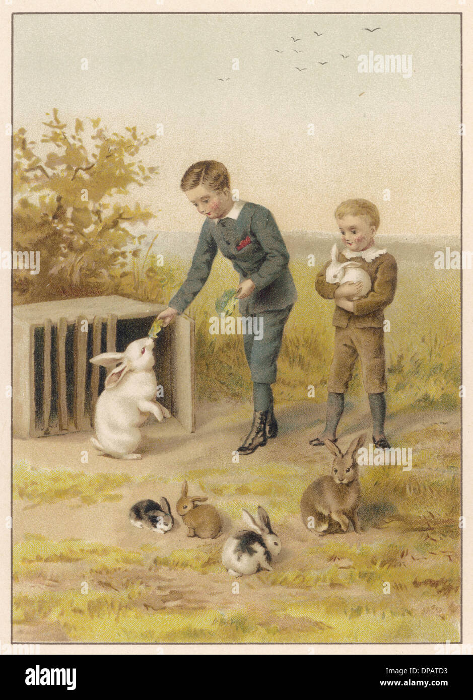 BOYS AND RABBITS 1889 Stock Photo - Alamy