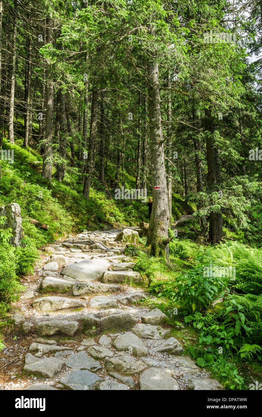 Stone path leading to the peak in summer Stock Photo - Alamy