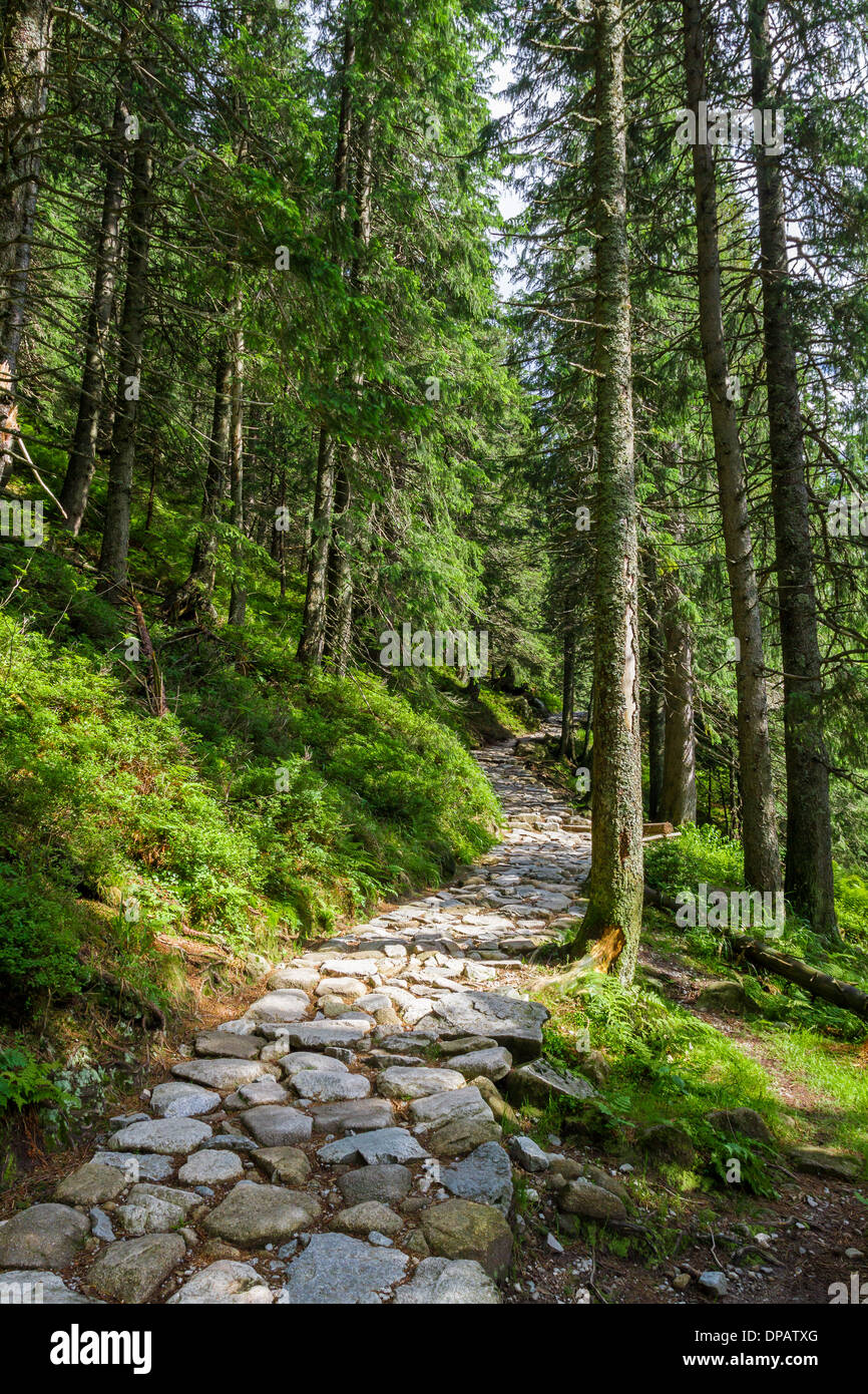 Stone path leading to the peak Stock Photo - Alamy