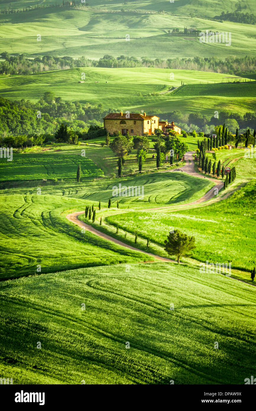 Spring fields and meadows in Italy Stock Photo - Alamy