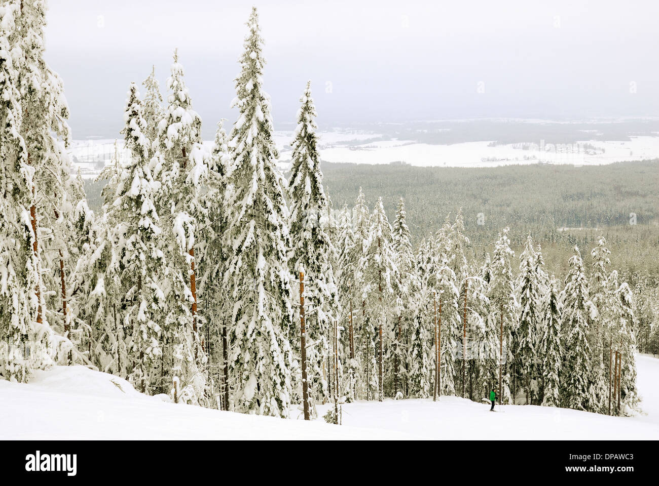 Winter landscape with snow covered trees Stock Photo - Alamy