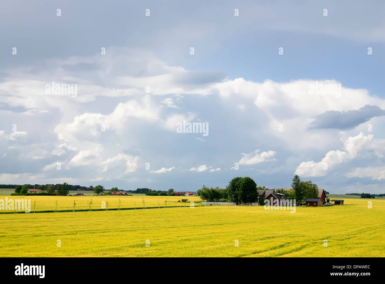Sweden agriculture landscape hi-res stock photography and images - Alamy