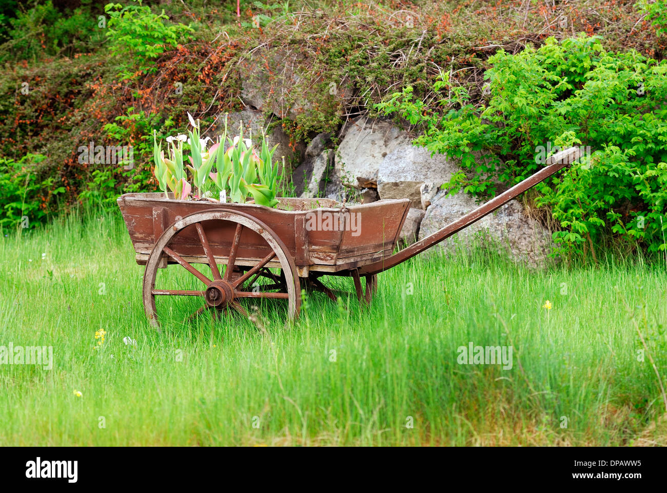 Flower barrow hi-res stock photography and images - Alamy