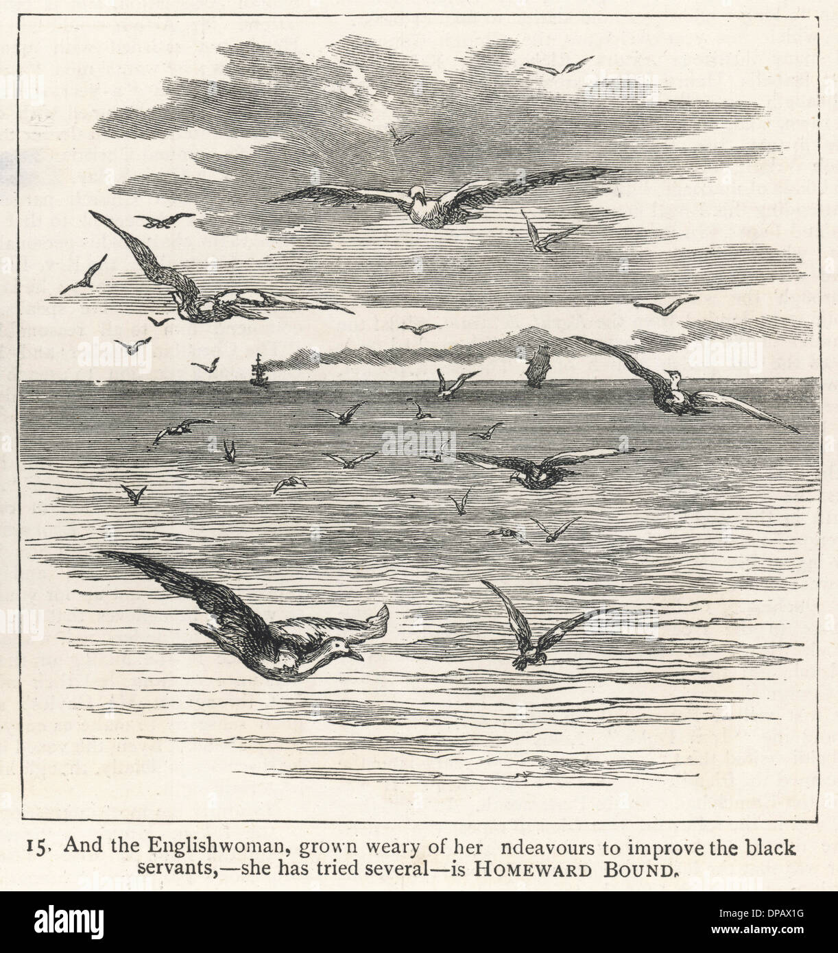 AFRICAN SERVANTS 15 Stock Photo - Alamy