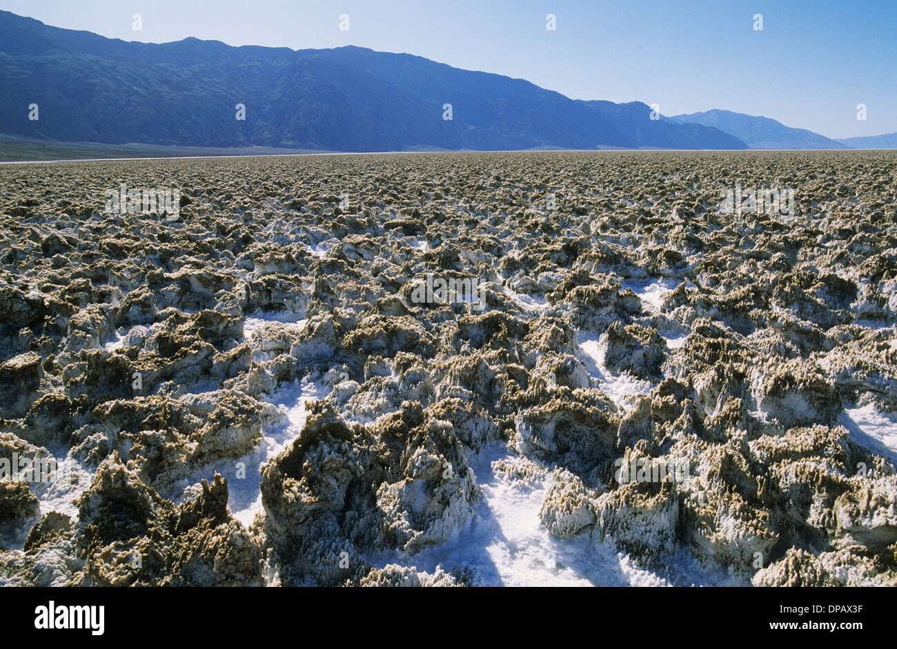 Elk248-1475 California, Death Valley National Park, Devils Golf Course ...