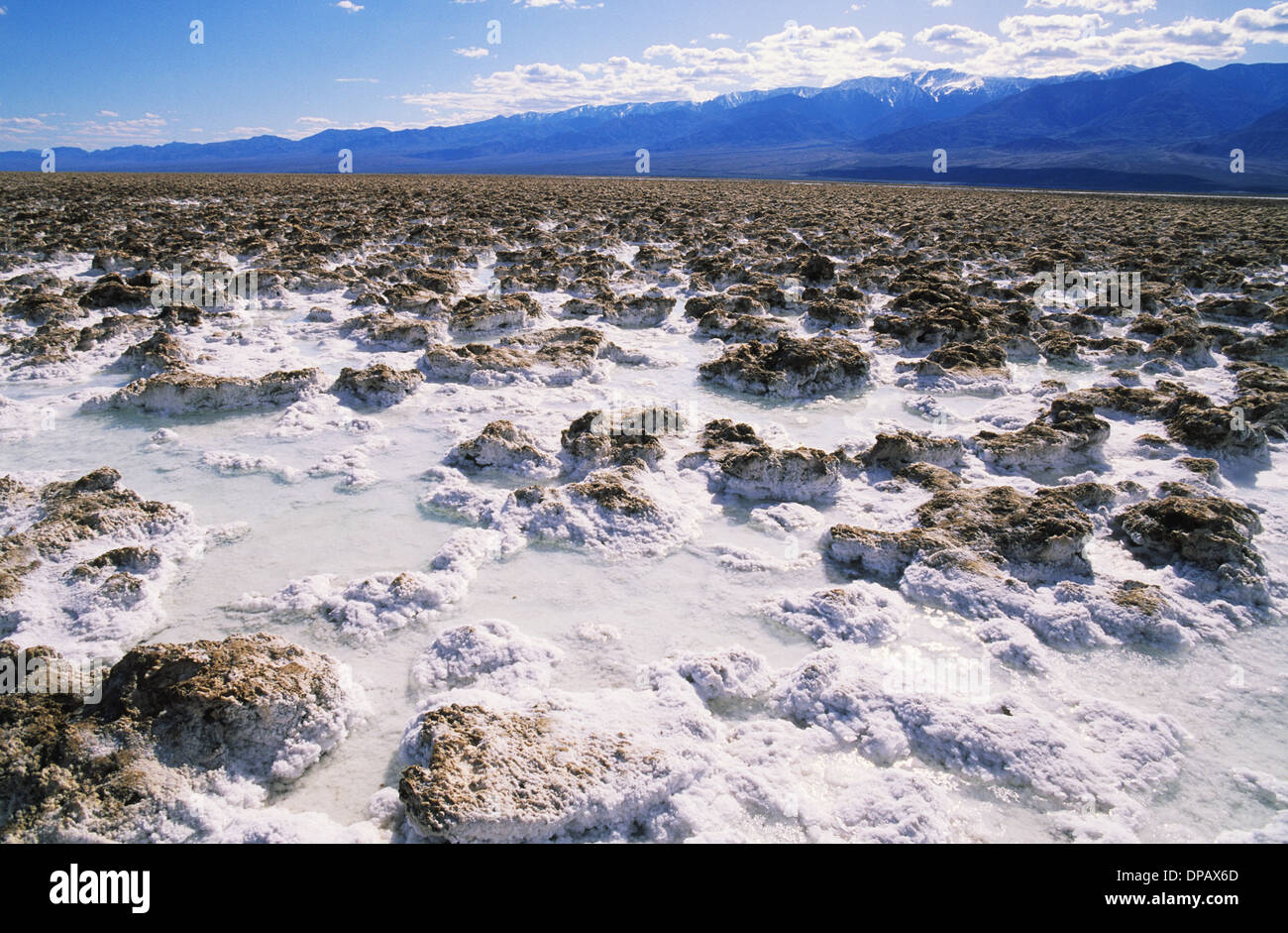 Elk248-1495 California, Death Valley National Park, Devils Golf Course ...