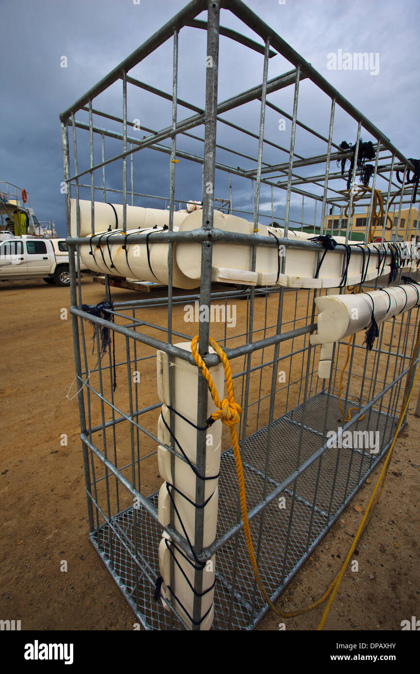 Cage dive hi-res stock photography and images - Alamy