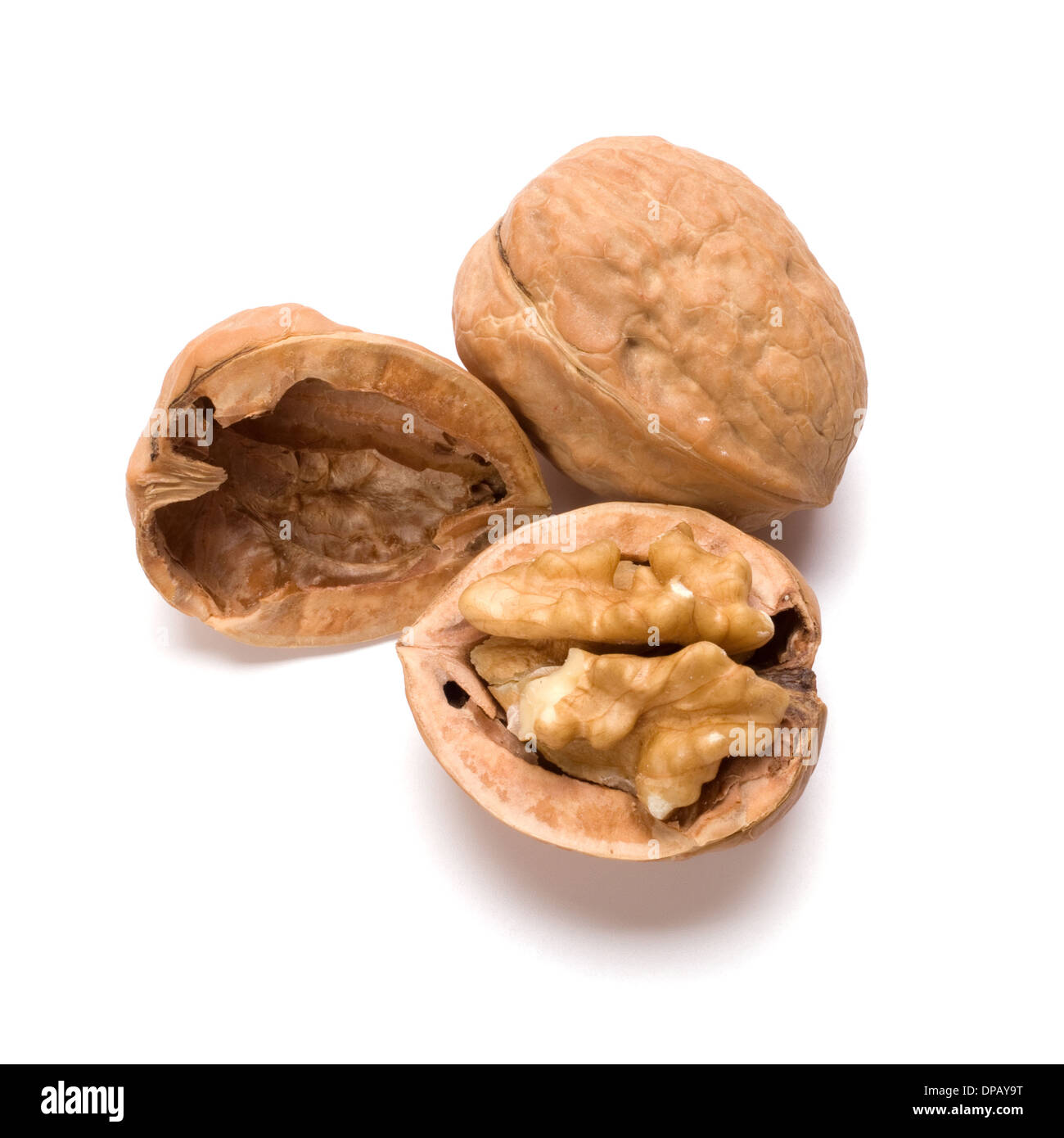 Circassian walnut isolated on white background Stock Photo - Alamy