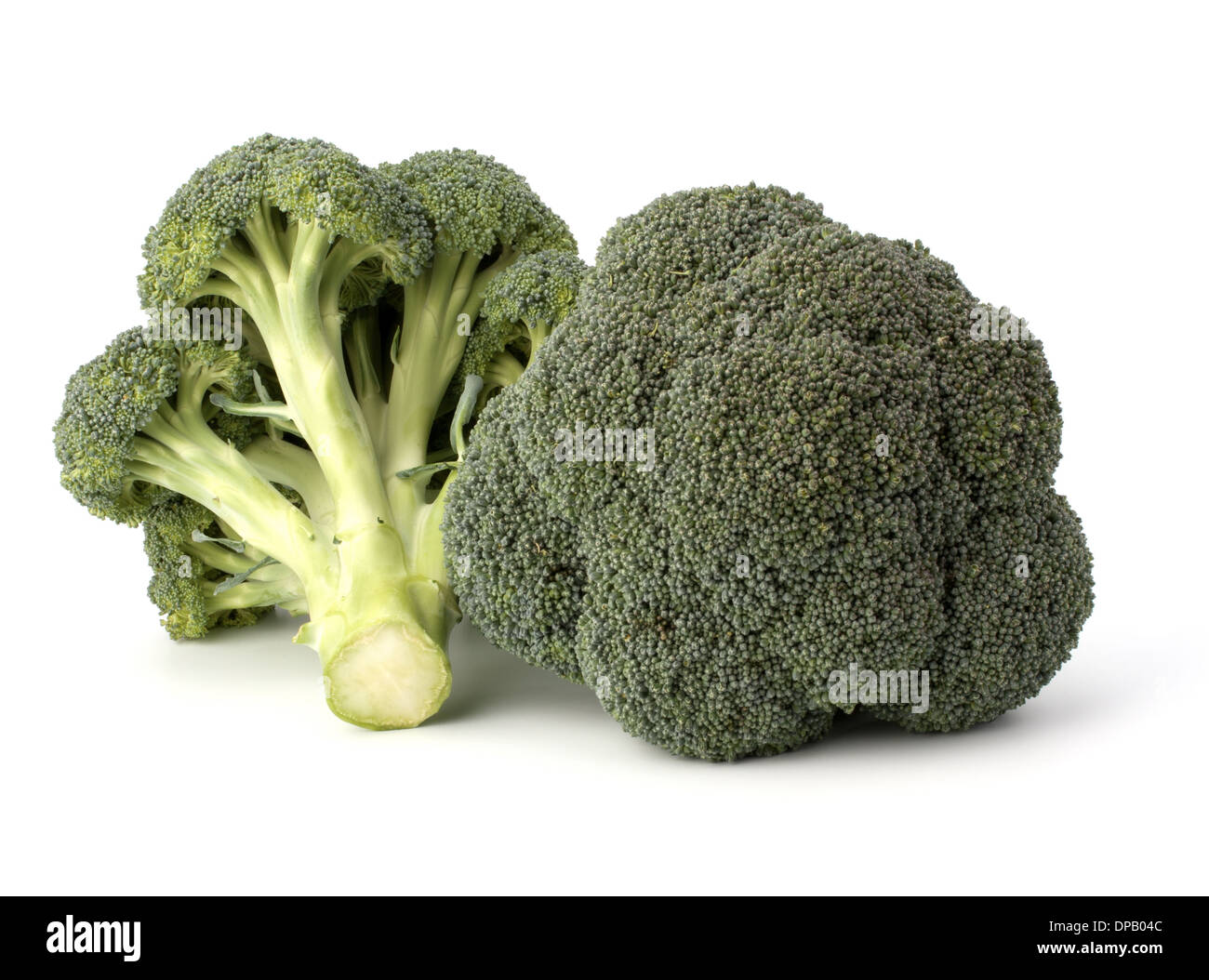 Broccoli vegetable isolated on white background Stock Photo - Alamy