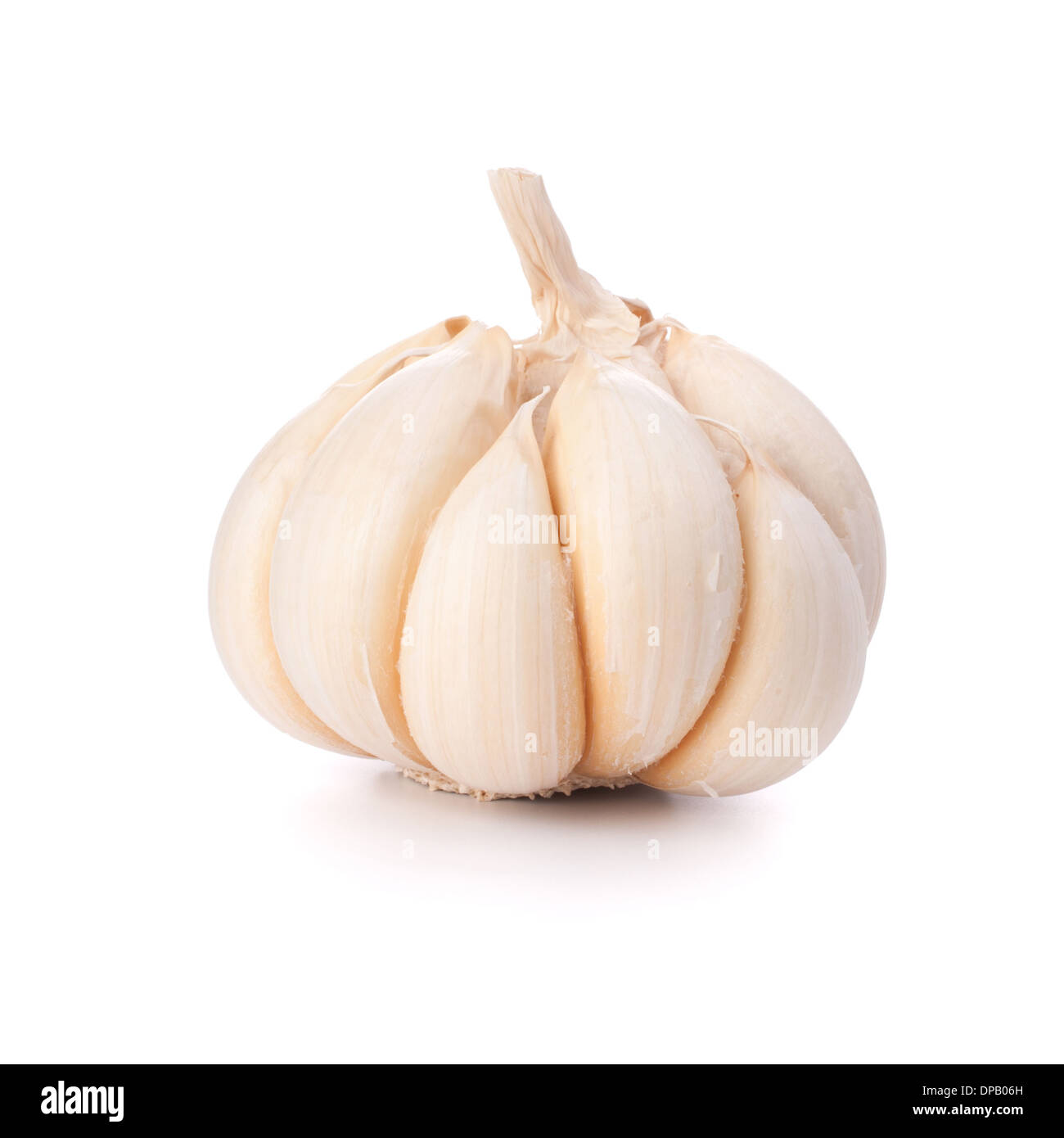 Garlic bulb isolated on white background Stock Photo - Alamy