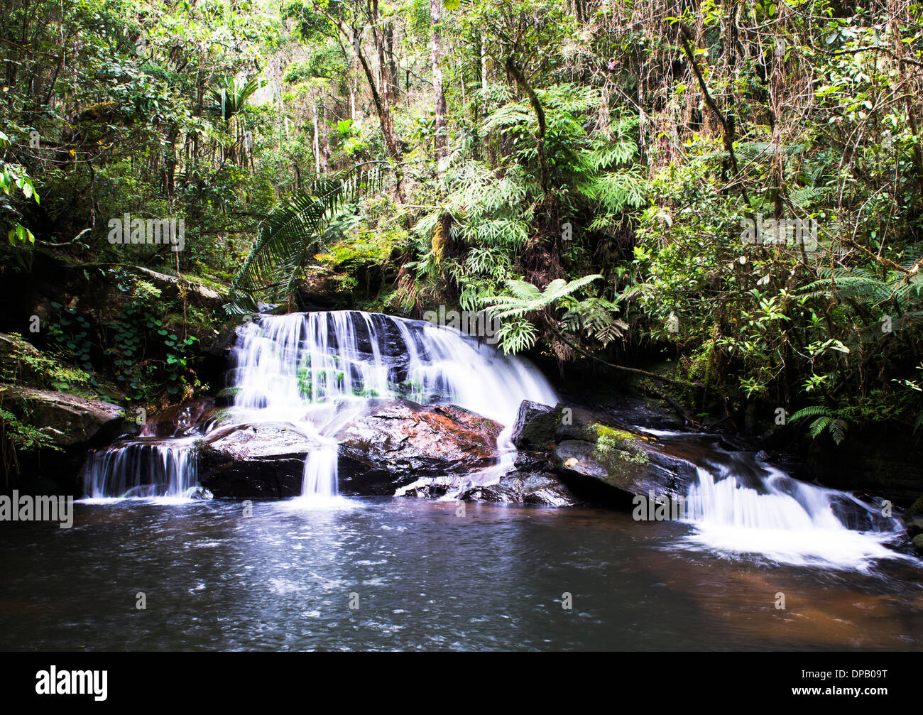 A beautiful waterfall at Mantadia national park in Andasibe, Madagascar ...