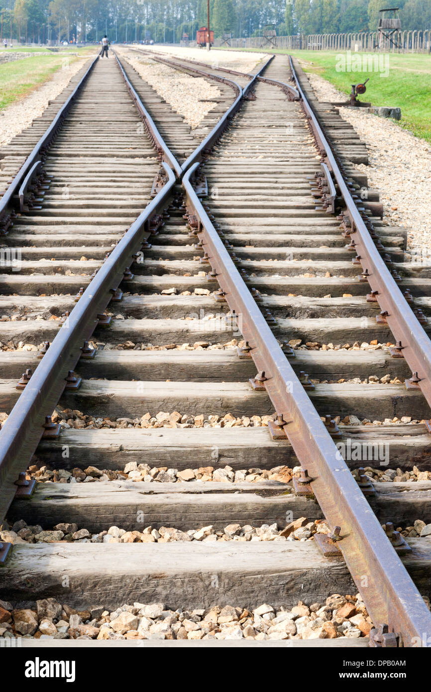Auschwitz train tracks hi-res stock photography and images - Alamy