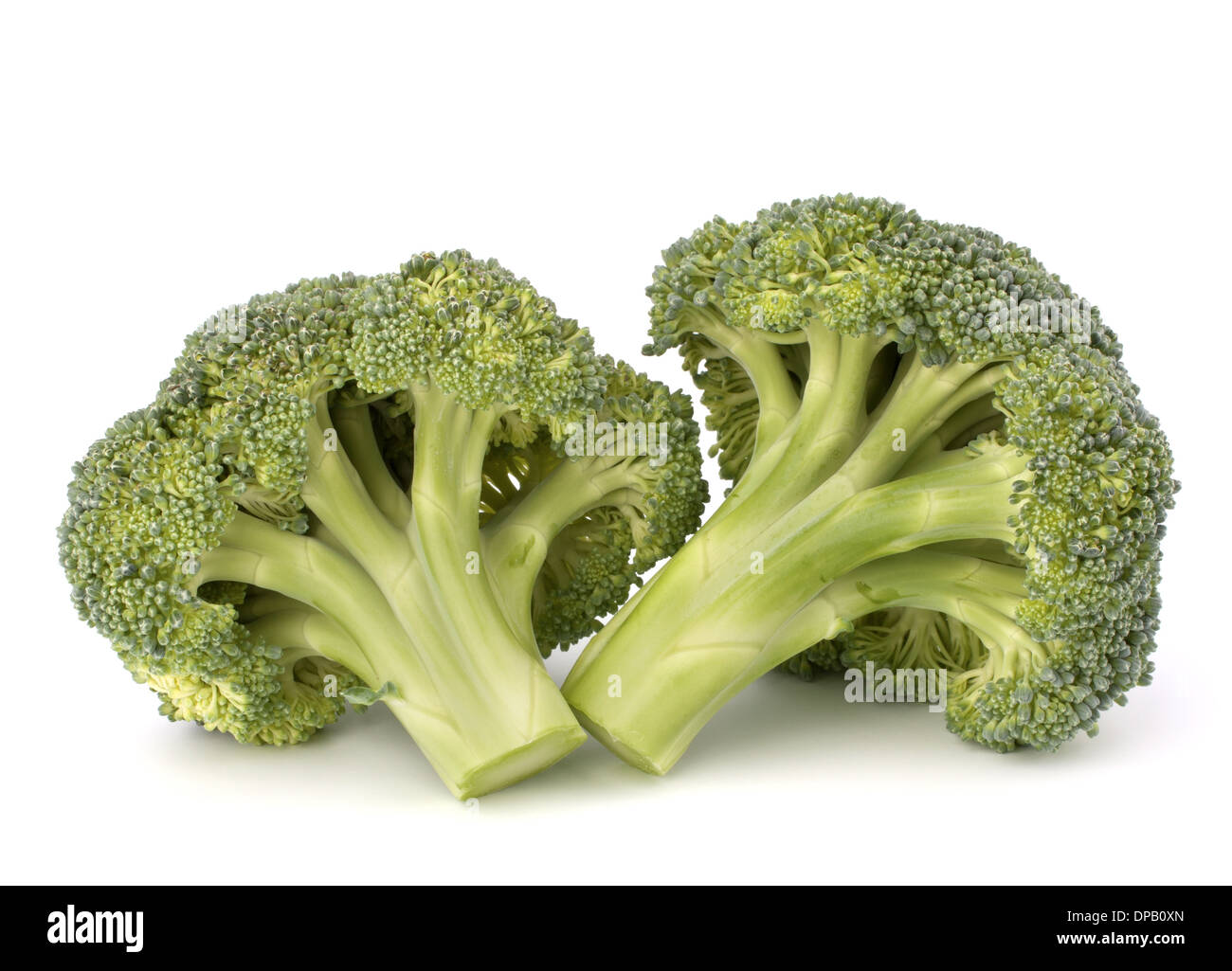 Broccoli vegetable isolated on white background Stock Photo - Alamy