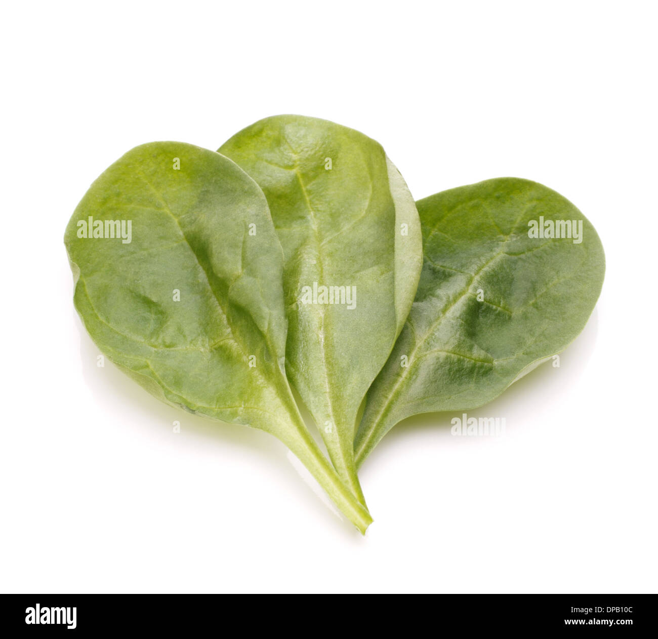 Spinach vegetables isolated on white background cutout Stock Photo - Alamy