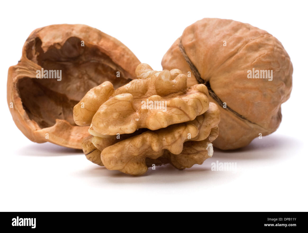 Circassian walnut isolated on white background Stock Photo - Alamy