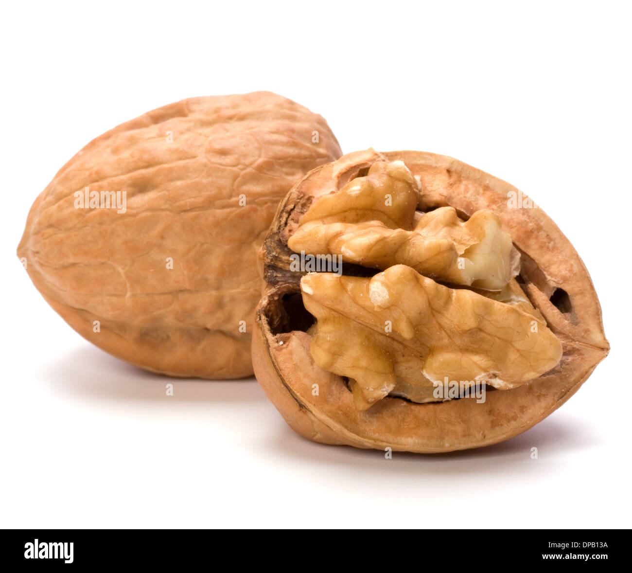 Circassian walnut isolated on white background Stock Photo - Alamy