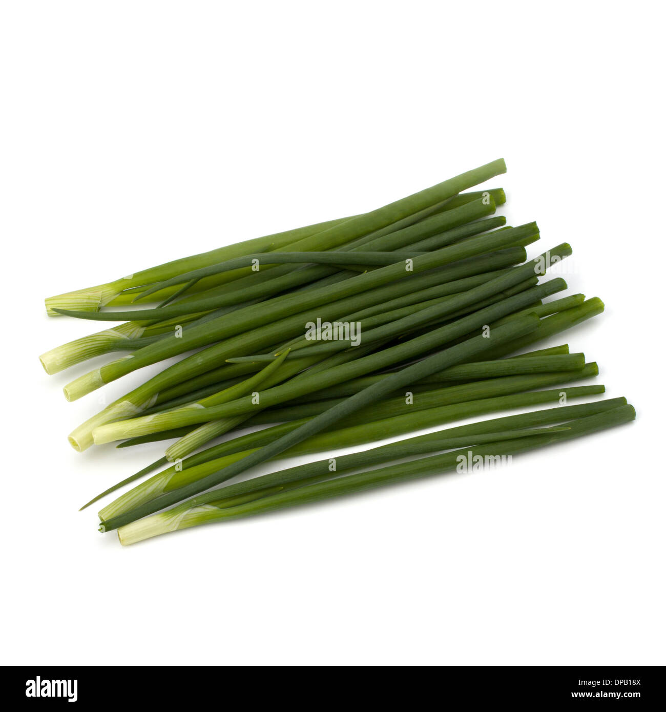 spring onion isolated on white backgroun close up Stock Photo - Alamy