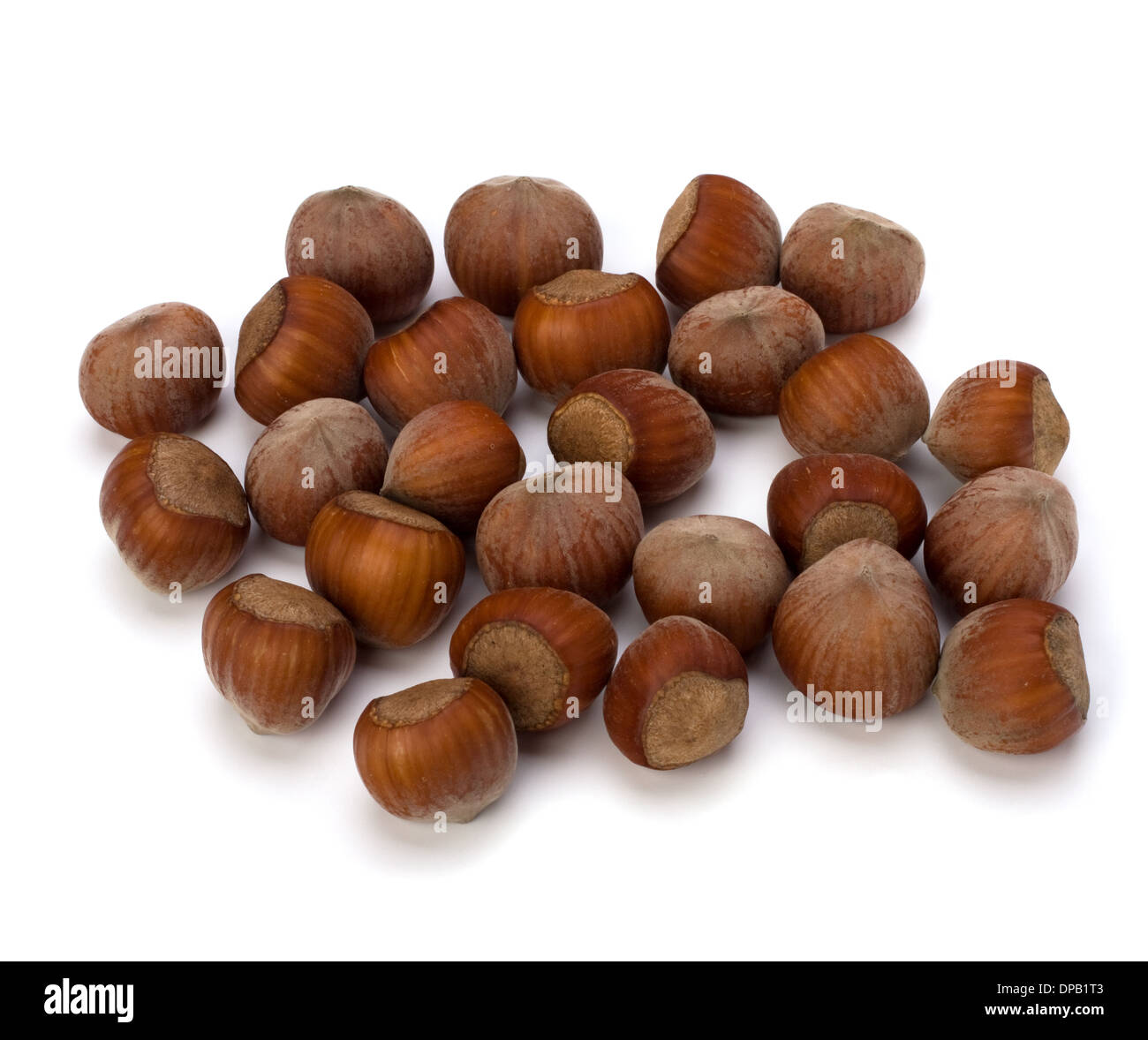 hazelnuts isolated on white background Stock Photo - Alamy