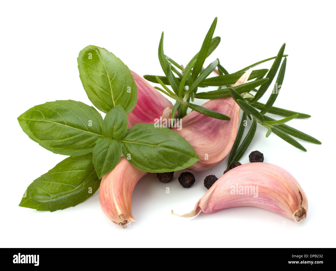 Garlic clove, basil and rosemary leaf isolated on white background ...