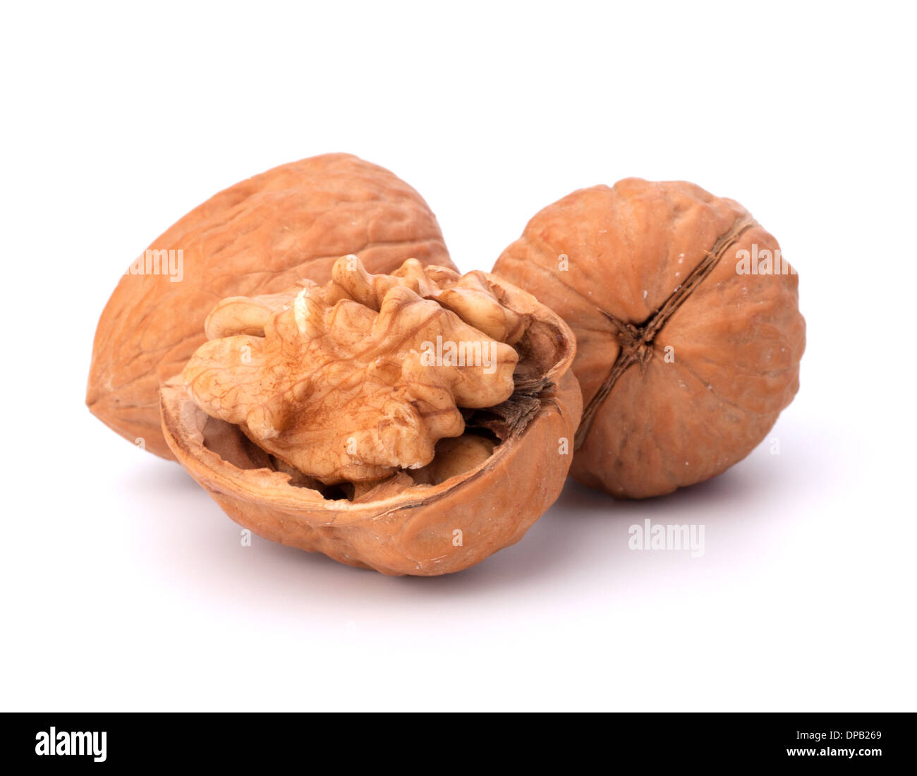 Circassian walnut isolated on white background Stock Photo - Alamy