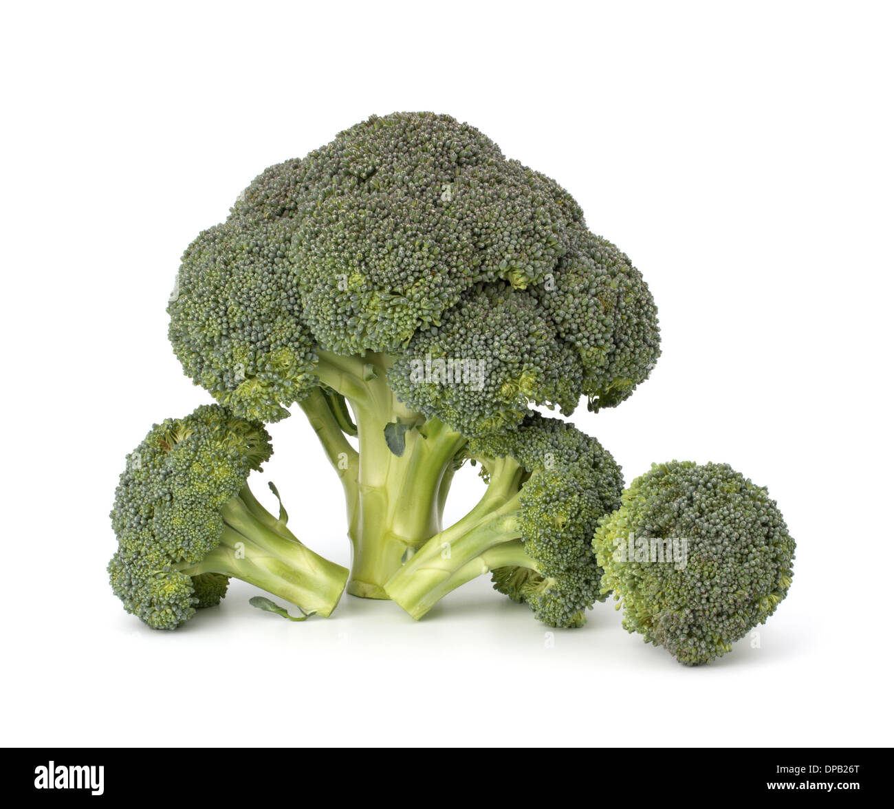 Broccoli vegetable isolated on white background Stock Photo - Alamy