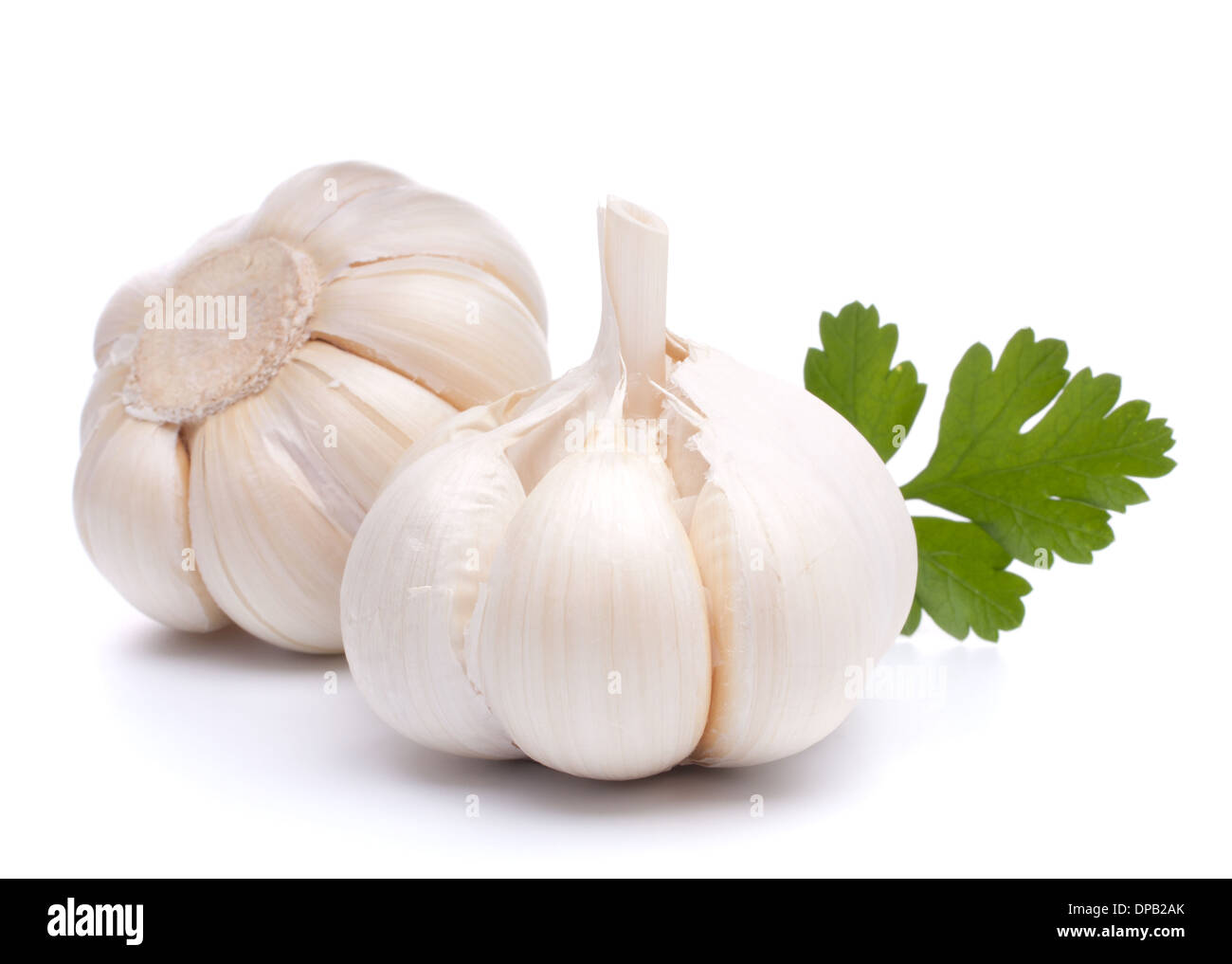 garlic bulb isolated on white background cutout Stock Photo - Alamy