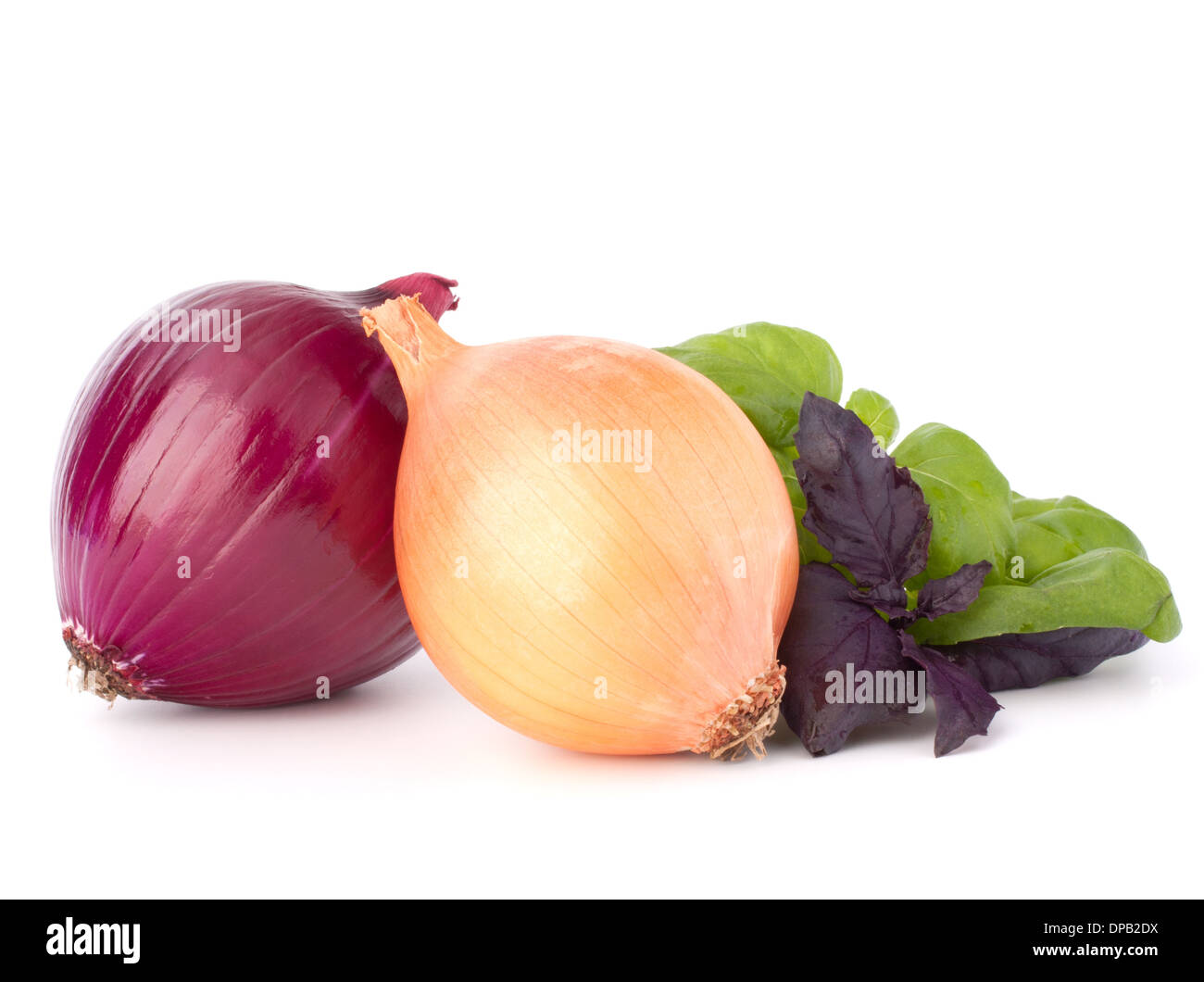 Onion and basil leaves still life isolated on white background cutout ...