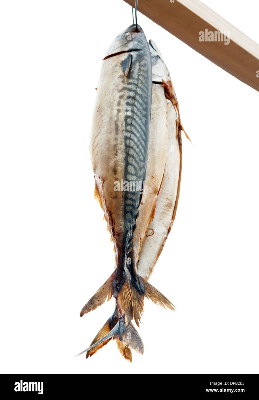 norwegian traditional stockfish outdoor drying Stock Photo - Alamy