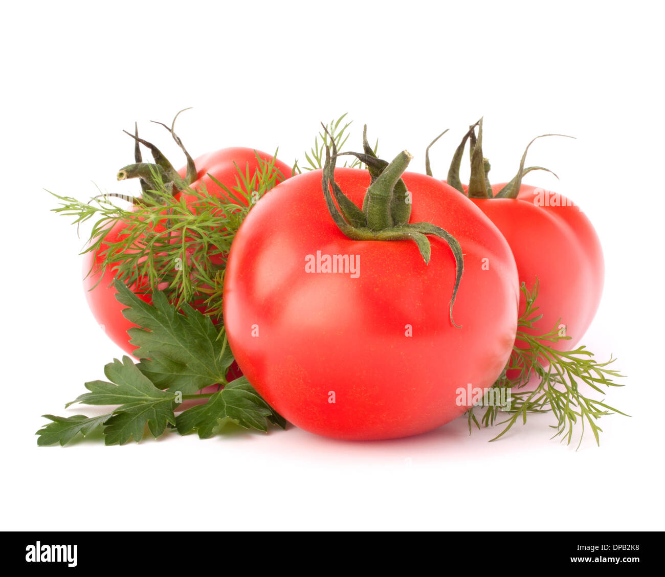 Three tomato vegetables and parsley and dill leaves still life isolated ...