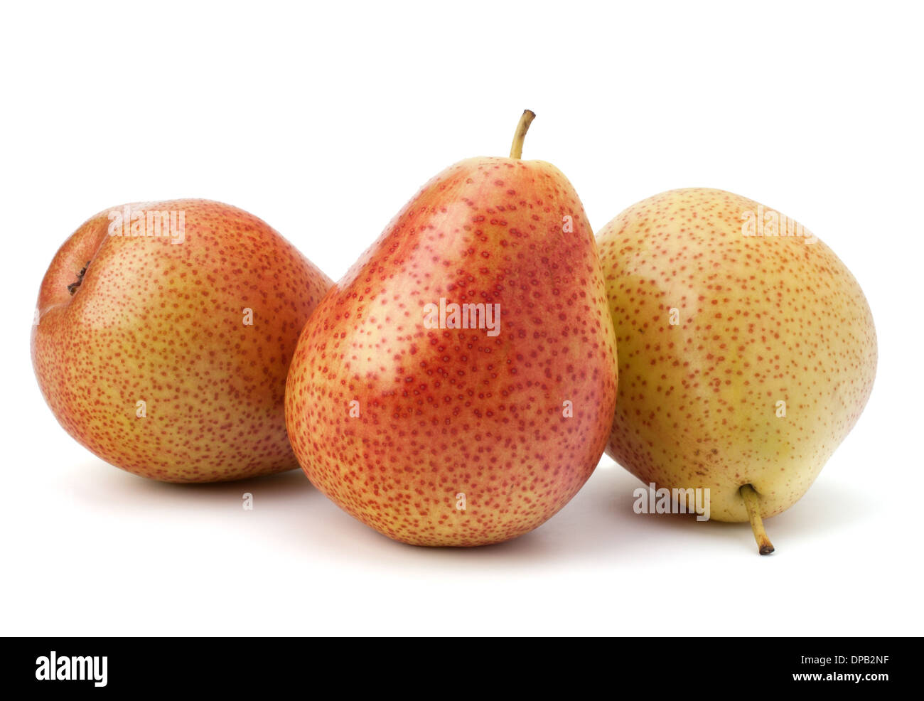 Pear fruits isolated on white background Stock Photo - Alamy