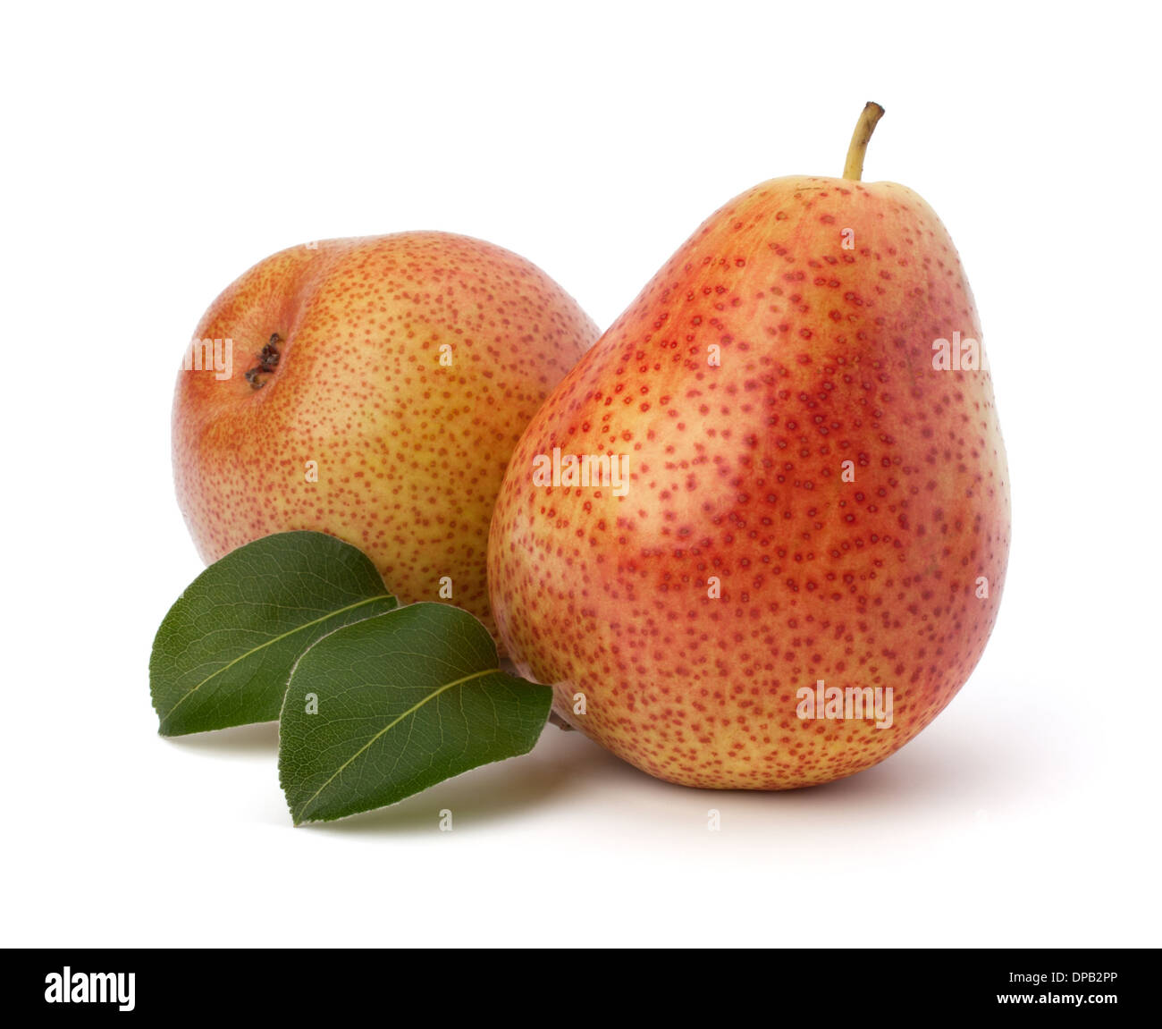 Pear fruits isolated on white background Stock Photo - Alamy