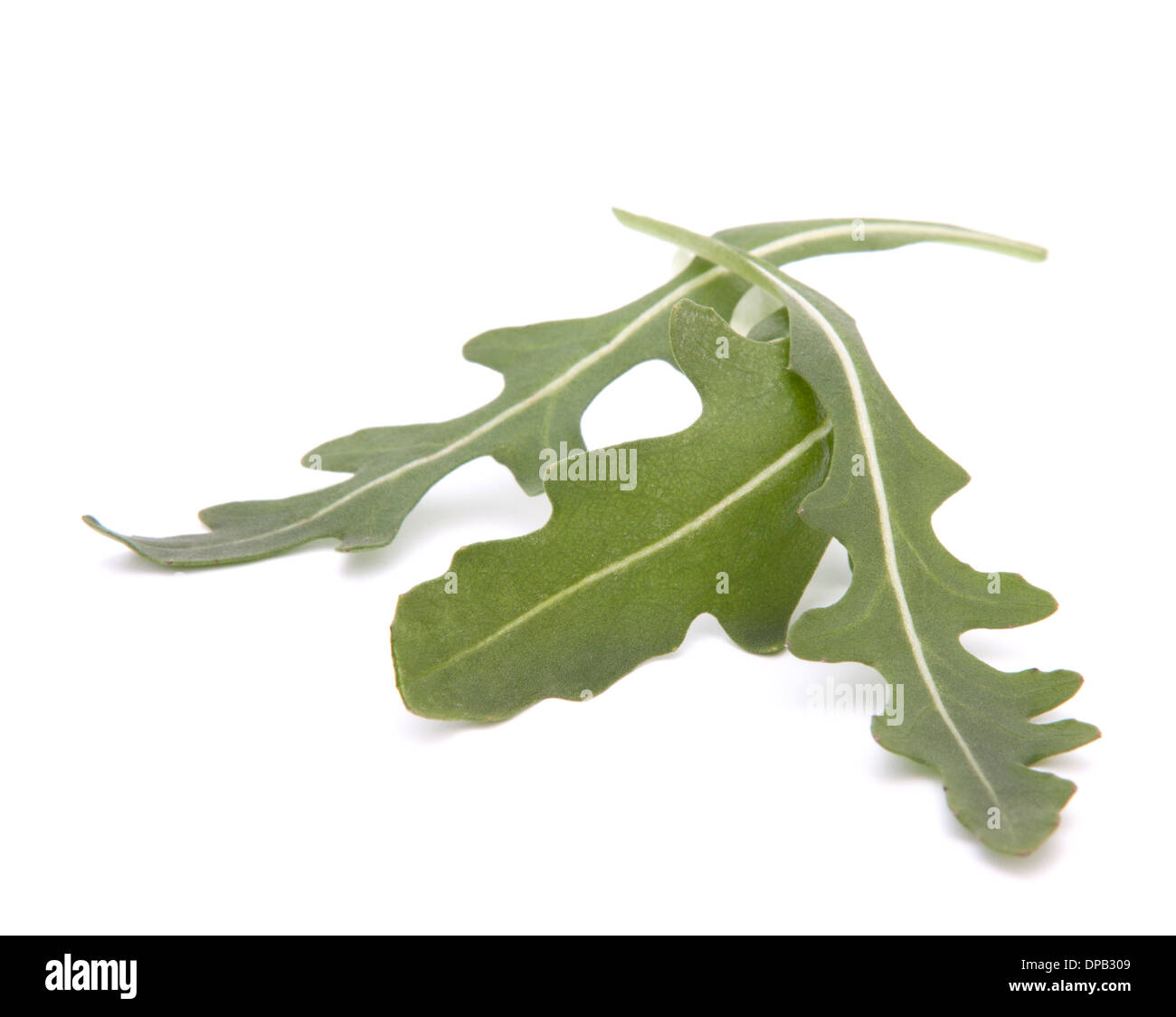Sweet rucola salad or rocket lettuce leaves isolated on white ...