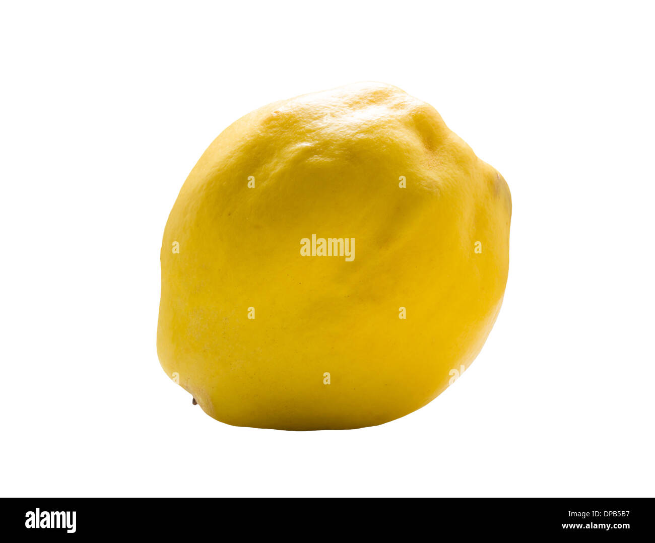 Photo quince hi-res stock photography and images - Alamy